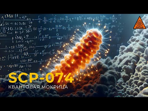 SCP 074 — «Квантовая мокрица» - YouTube