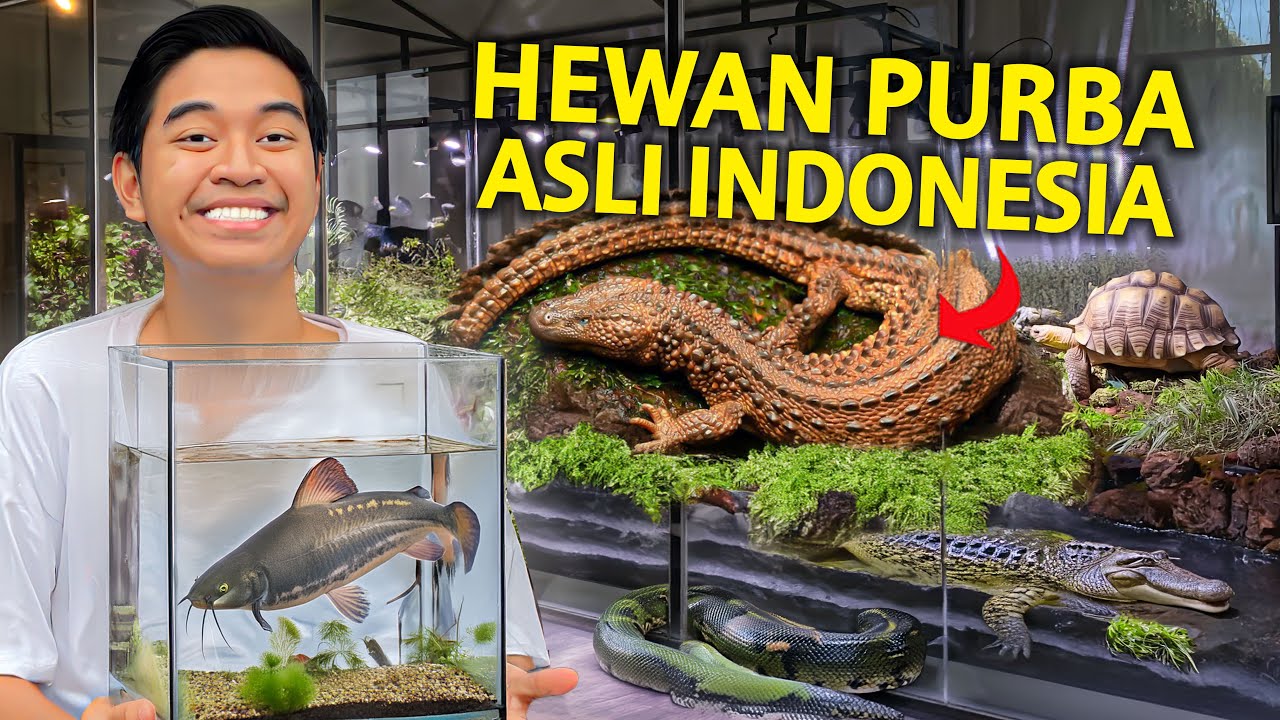 HEWAN PURBA ASLI INDONESIA ADA DISINI! BANYAK BANGET HEWAN UNIK DI ...