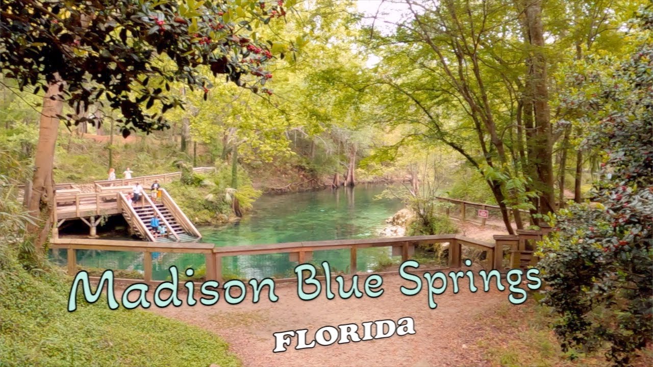 Madison Blue Spring , Florida - YouTube