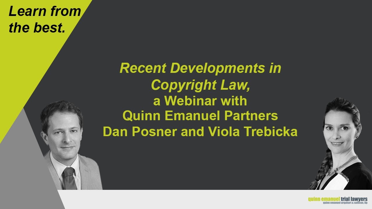 "Recent Developments in Copyright Law" with Partners Dan Posner & Viola ...