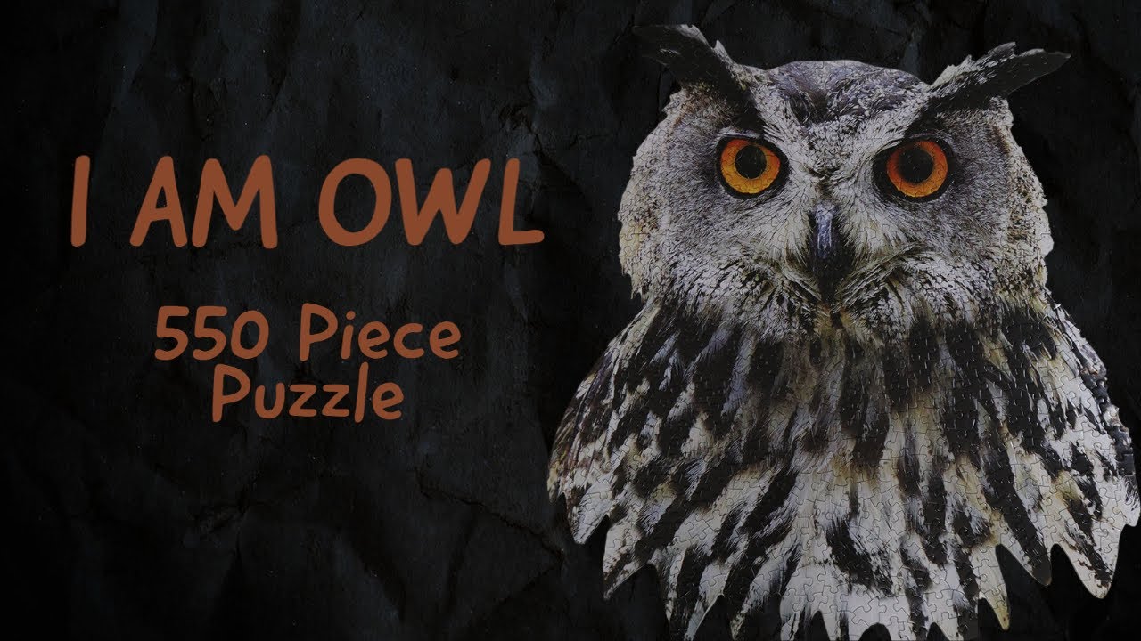 I AM OWL - 550 Piece Puzzle - YouTube