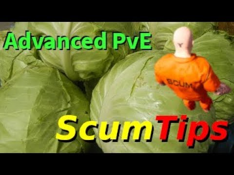 Scum - Eating Cabbage - YouTube