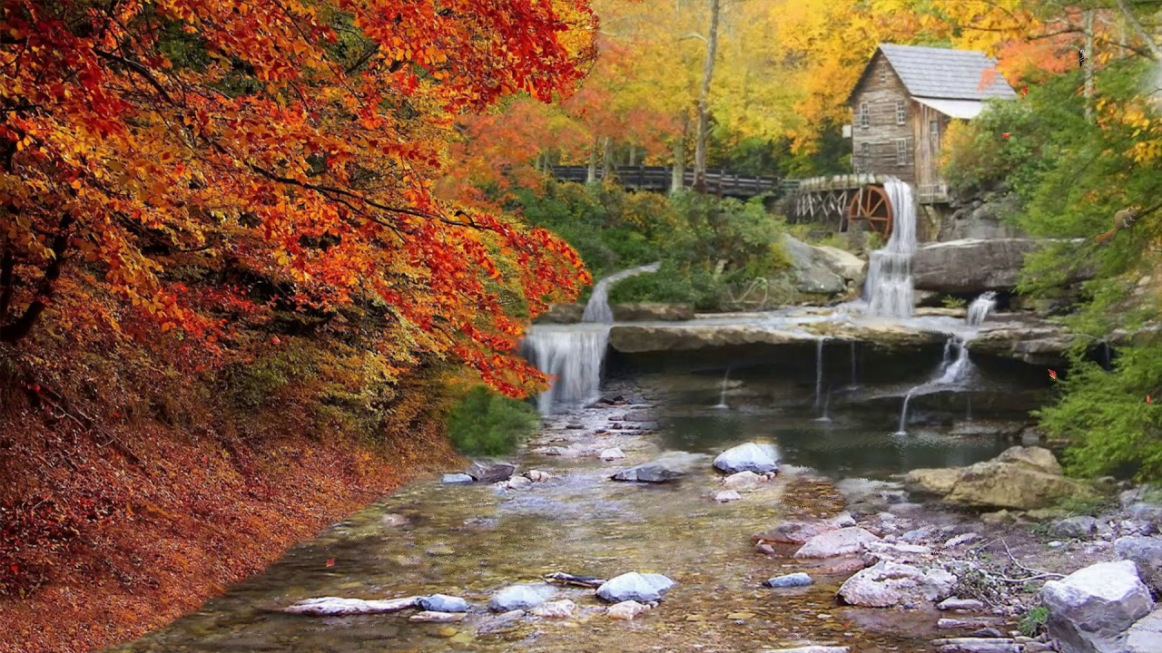 Autumn The Old Watermill - YouTube