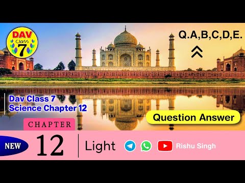 🌄 Light | Dav Class 7 Science Chapter 12 Question Answer Dav Public School | Q.A,B,C,D,E ...