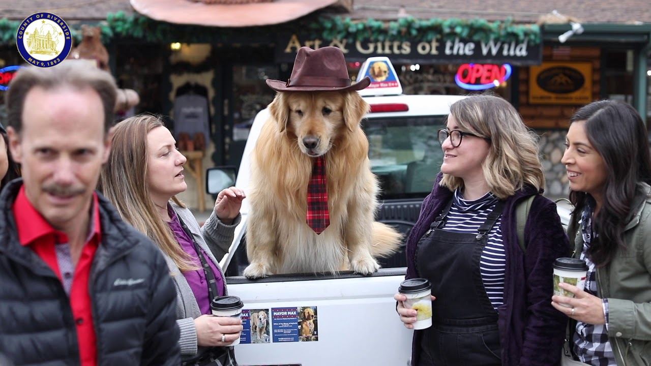 Idyllwild Mayor Max teams up with Riverside County 3rd District ...