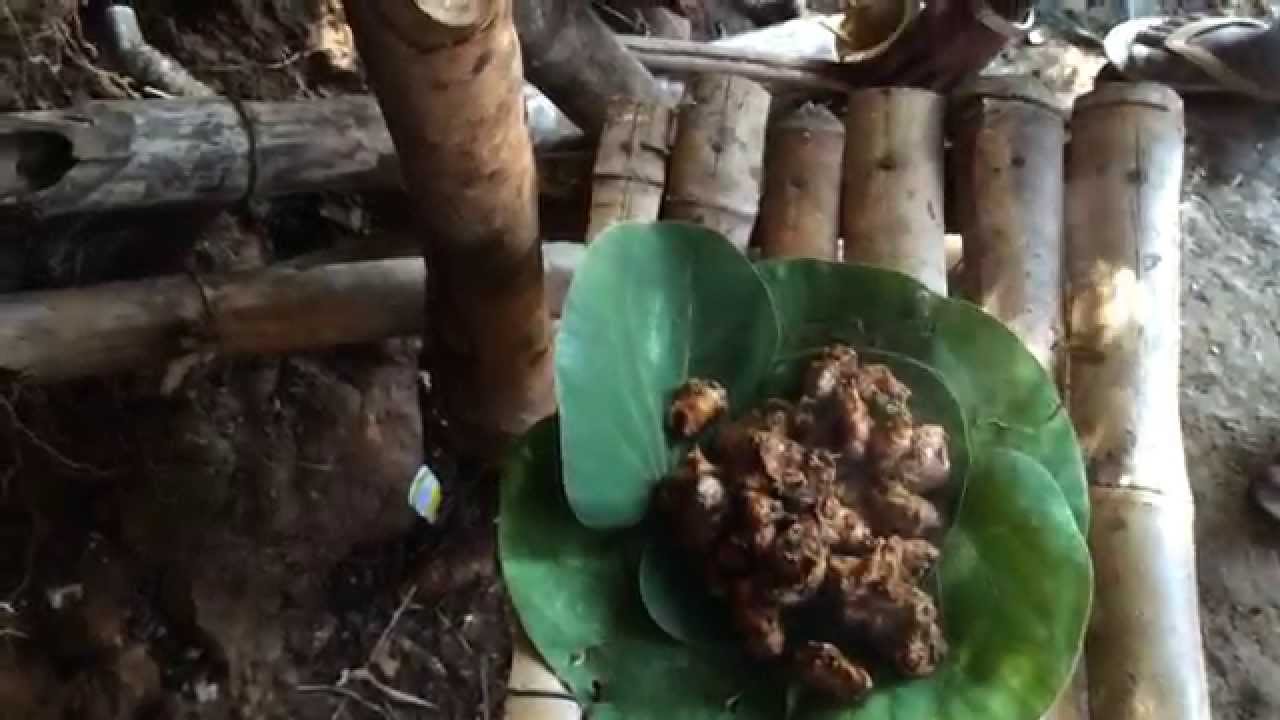 bamboo or bongulo chicken in araku valley- బొంగులో చికెన్ ...