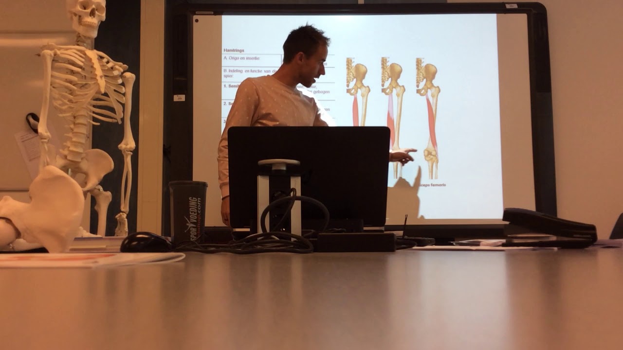 anatomie fitvak spieren bovenbeen deel 2 - YouTube