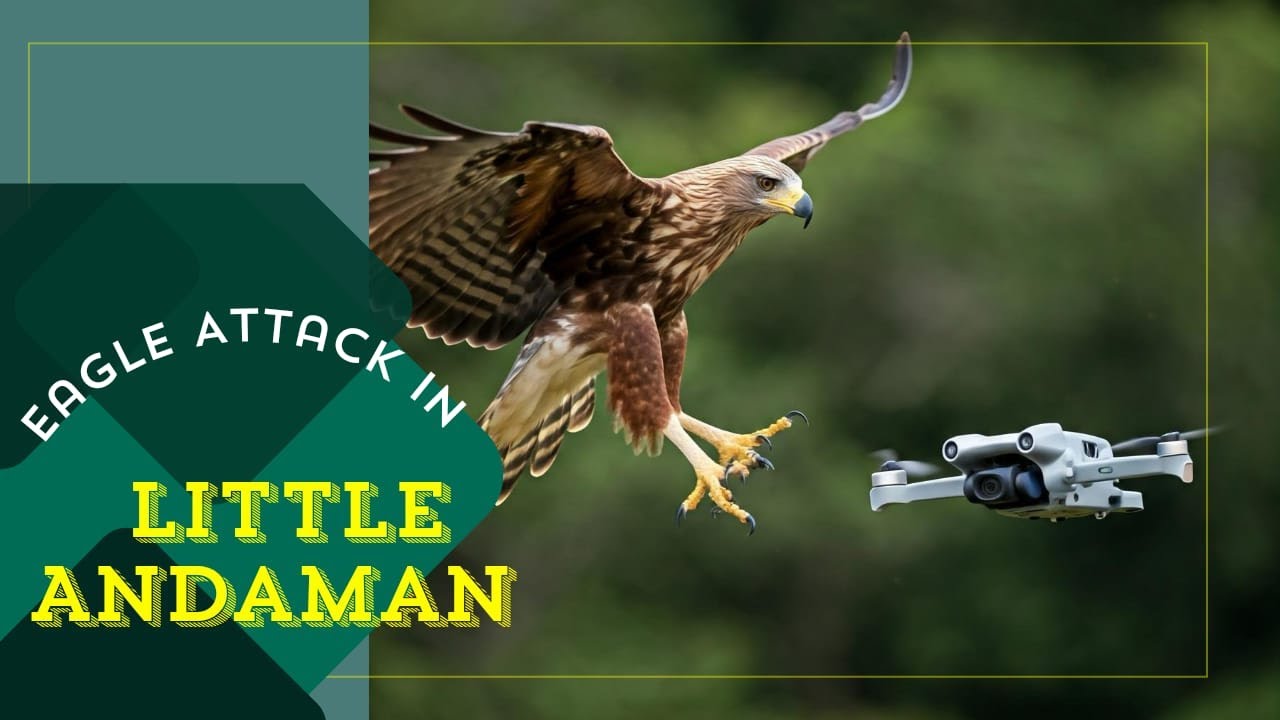 Eagle took away my Drone: The Andaman Adventure and a Daring Recovery - YouTube