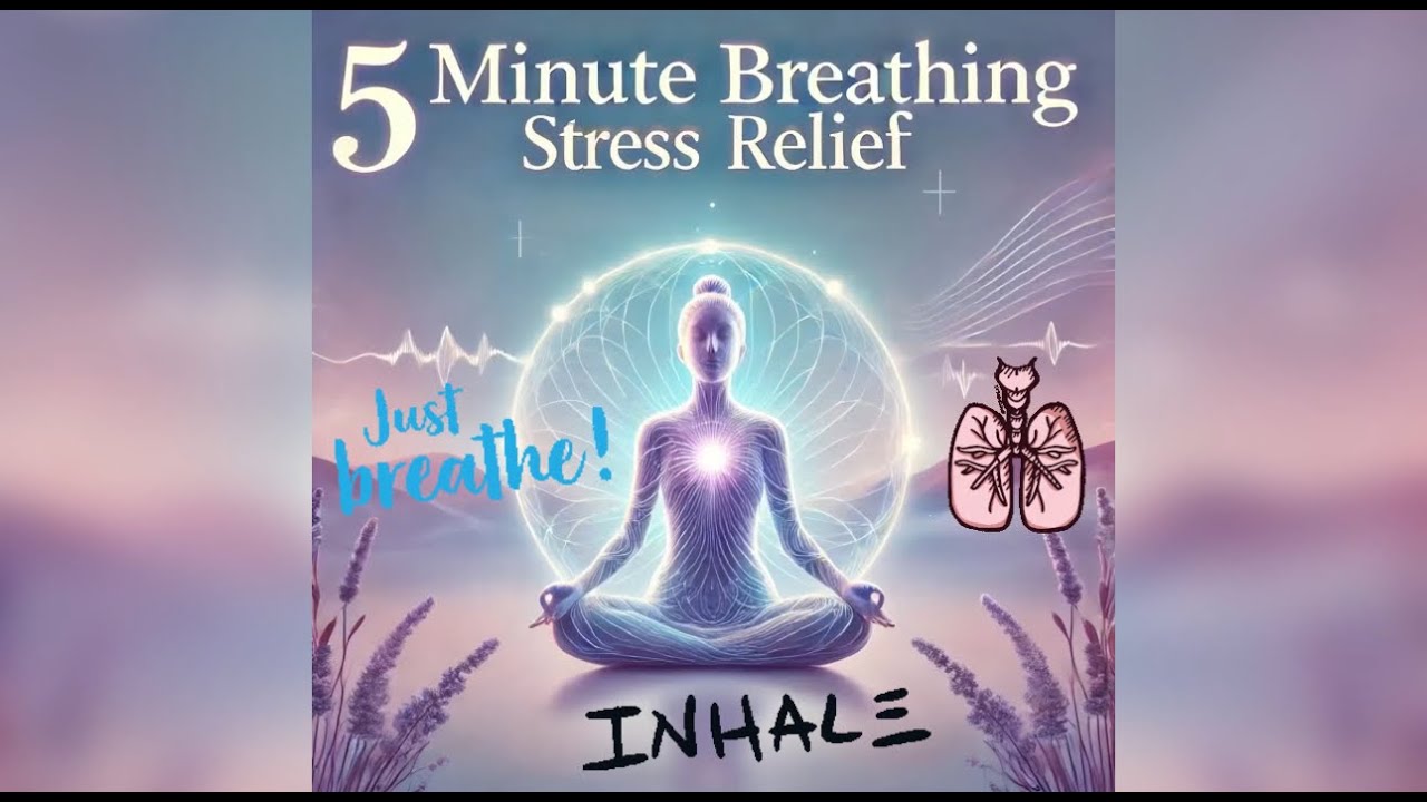5-Minute Breathing Stress Relief | Deep Breathing, Box Breathing, and ...