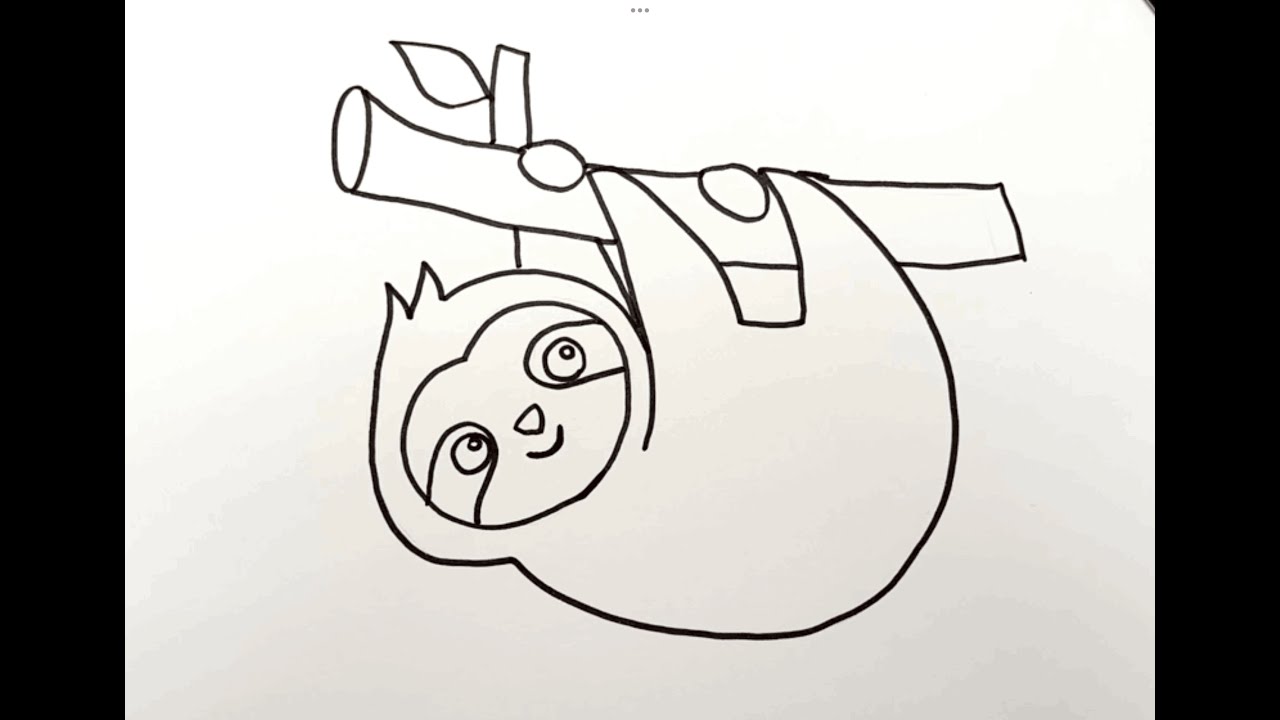 Step by step sloth -Paso a Paso dibujo oso perezoso - YouTube