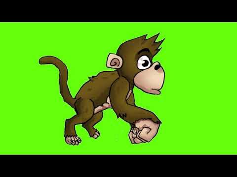 Monkey Animation Green Matte | Monkey Animation Green Screen | Chroma ...