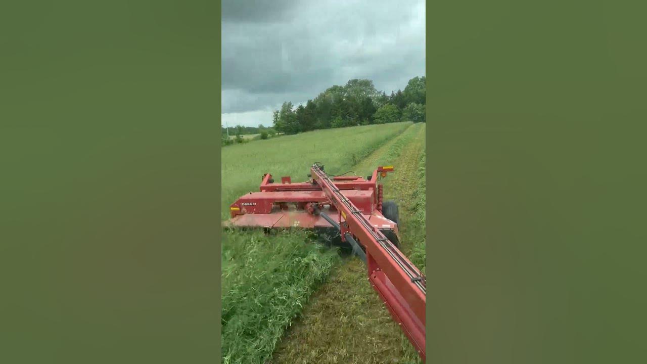 Mowing 1st cut alfalfa/grass hay #allischalmers #caseih - YouTube