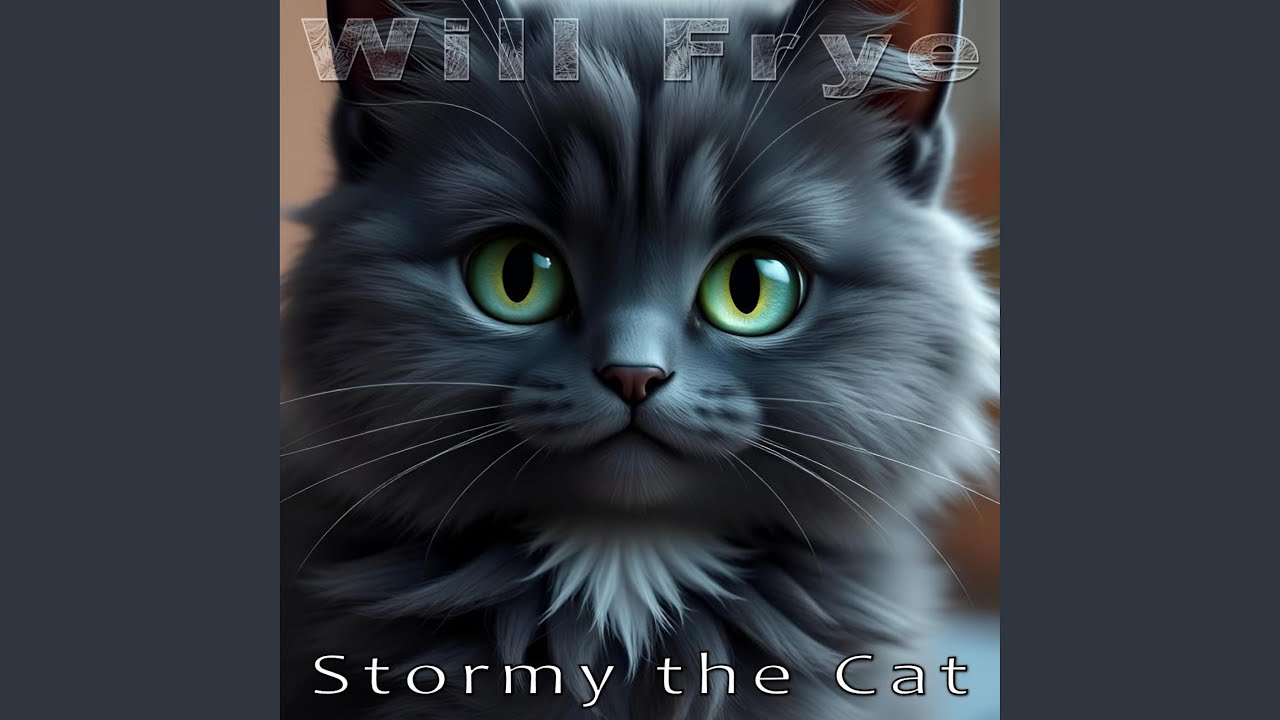 Stormy the Cat - YouTube