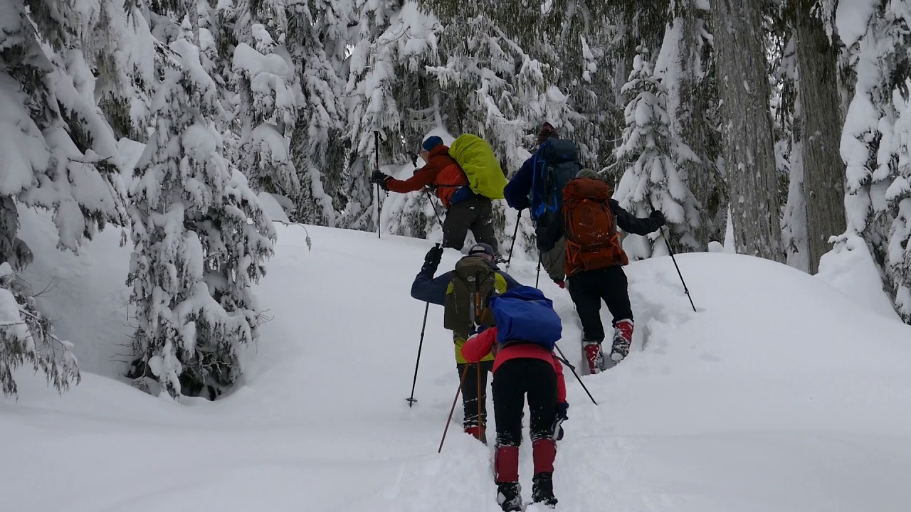 Breaking Trail January 17 2020 - YouTube