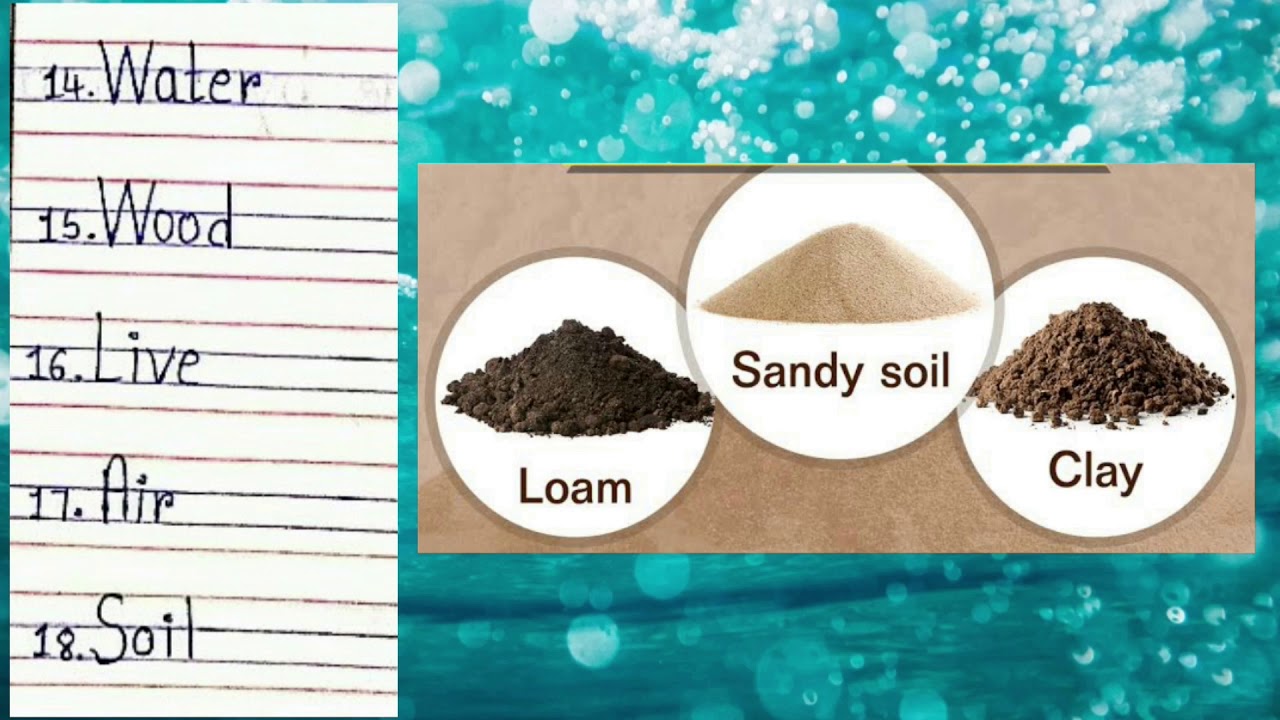 STD 1 SCIENCE CHAP 2 PART 1 UL - YouTube