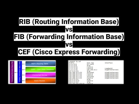 Difference Between RIB, FIB and CEF - YouTube