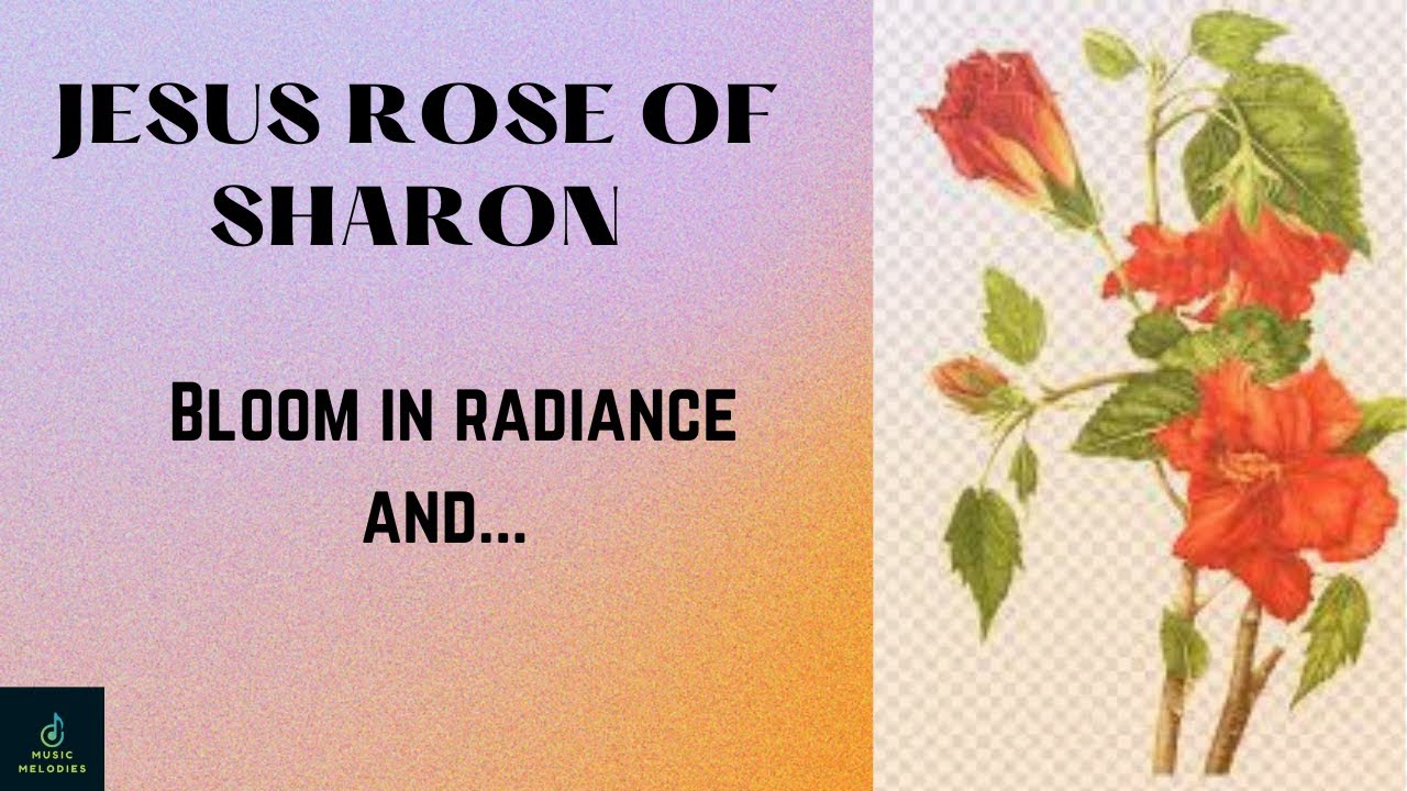 JESUS ROSE OF SHARON | CHRISTIAN POPULAR HYMNAL SONG - YouTube