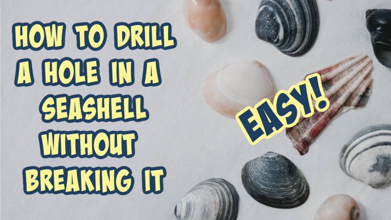 How to drill a hole in a seashell without breaking it - YouTube