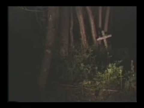 Haunted Manchac Swamp from America's Most Haunted - YouTube