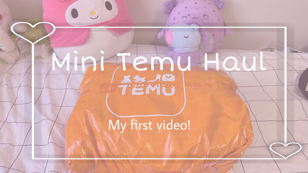 the perfect school bag | mini temu bag haul - YouTube
