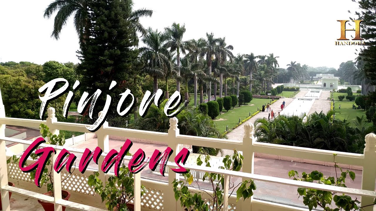 Where Is The Famous Pinjore Garden Situated | Fasci Garden