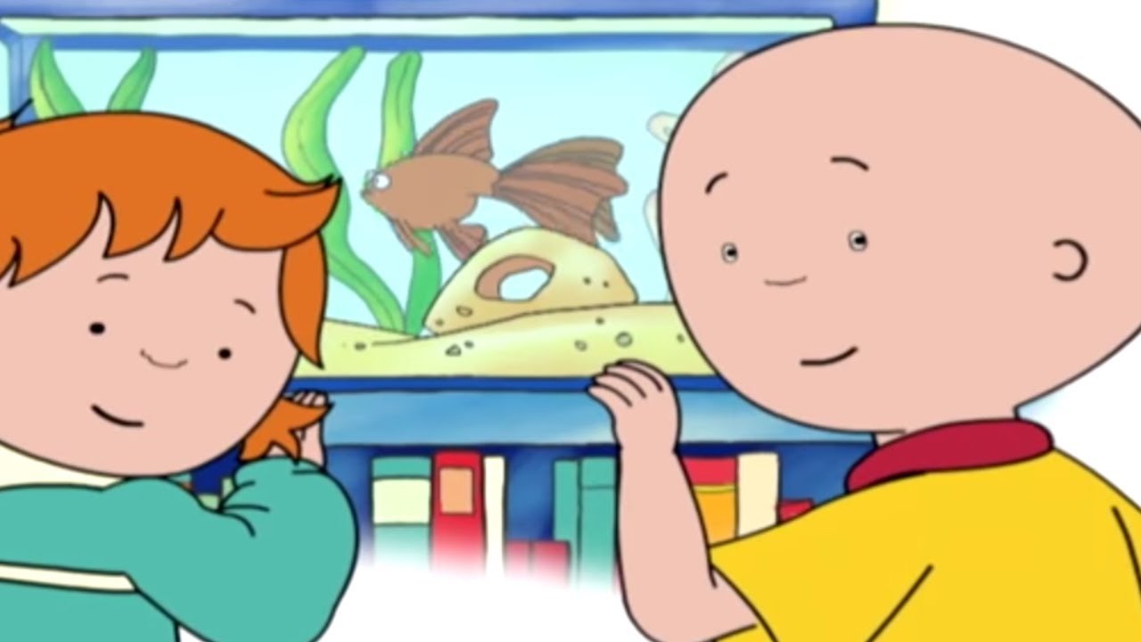 Caillou 411 - Caillou the Librarian / Caillou the Bookworm / Caillou ...