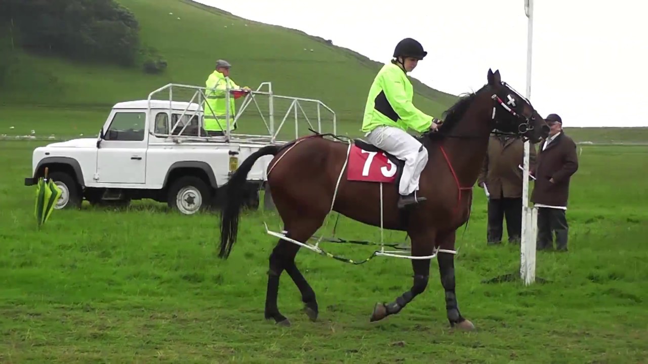 ABERYSTWYTH HARNESS RACES 2016 SADDLE RACE - YouTube
