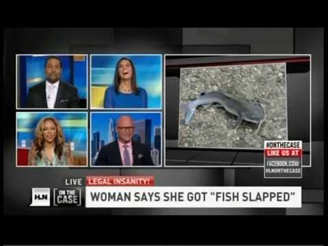 Attorney Janet Johnson on HLN's Legal Insanity Stories of Day - YouTube
