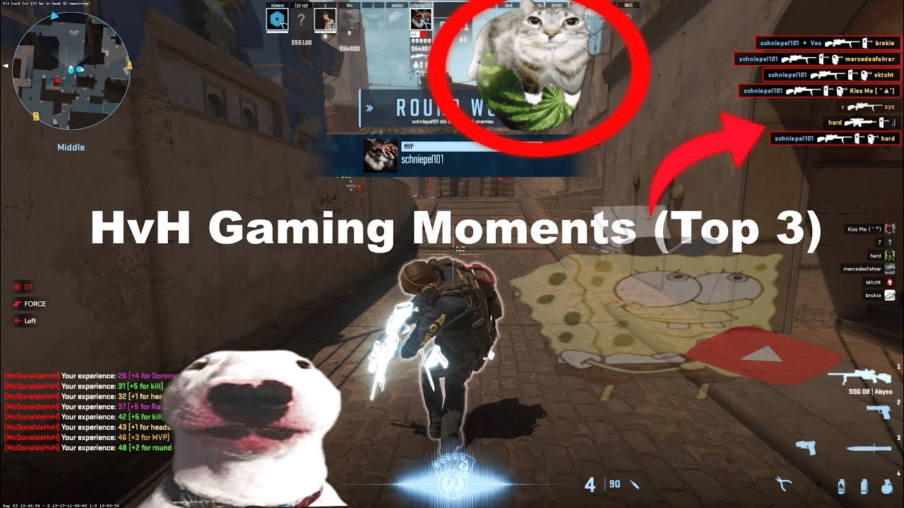 Professional HvH Gaming (Highlights) ft. Fatality.win [config in desc ...