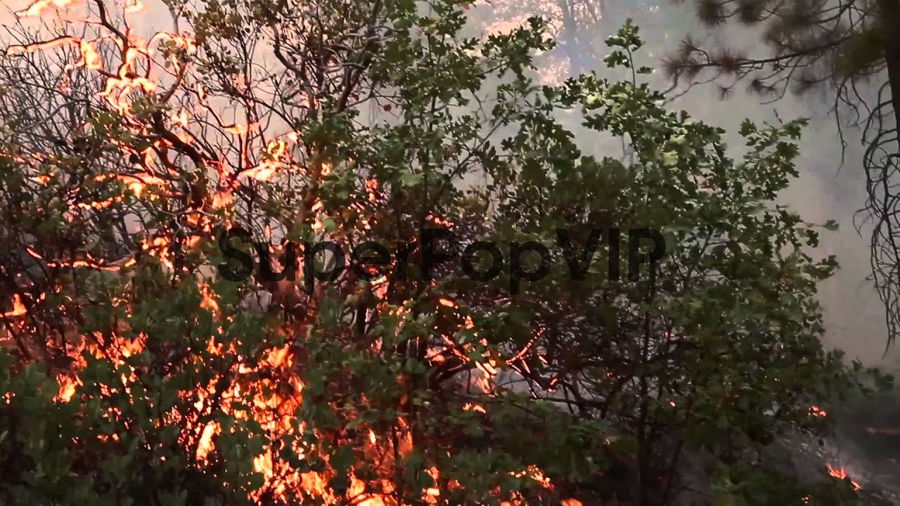Panning Shot, Burning Bush and Fire Truck. Firefighters f... - YouTube