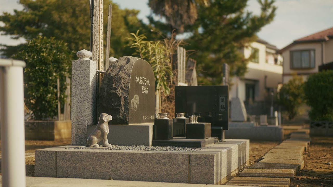Do Pets Go to Heaven? A Japanese Monk Explains Animal Reincarnation ...