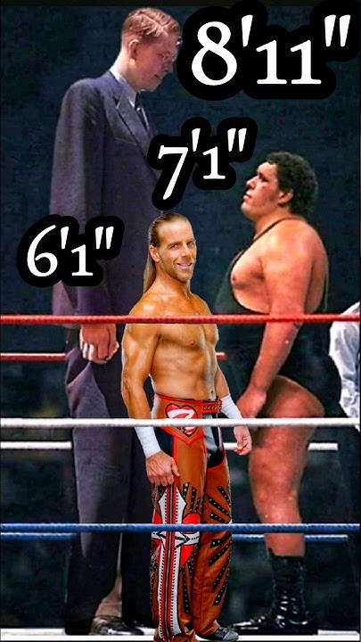 SHAWN MICHAELS ANDRE THE GIANT AND ROBERT WADLOW FACE TO FACE #shorts - YouTube