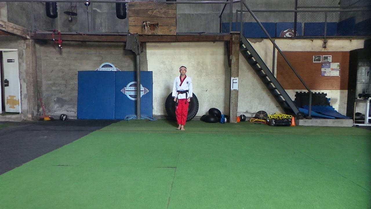 KYSHA CASANDRA V. DANAO-2020 ONLINE NATIONAL TAEKWONDO CPJ POOMSAE ...