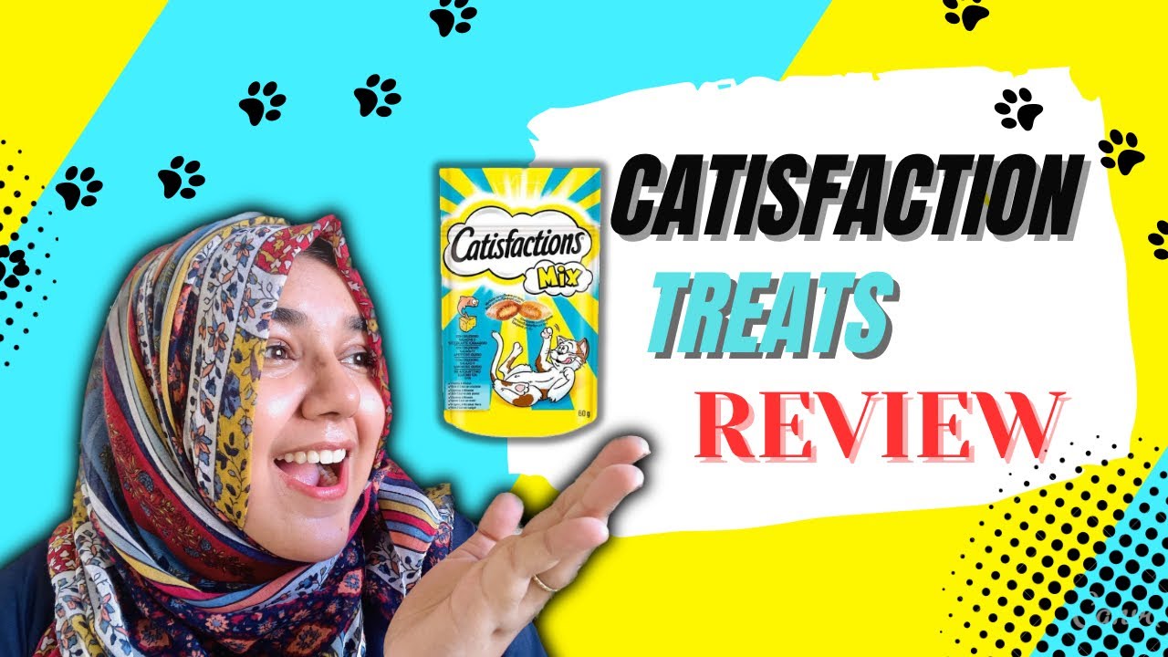 Level Up Your Cat's Happiness with Catisfaction Treats || Cat Treats ...