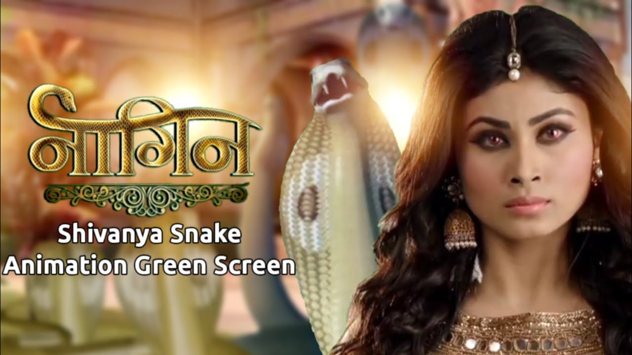 Naagin | Shivanya Snake Animations | Green Screen | By Naagin Green ...