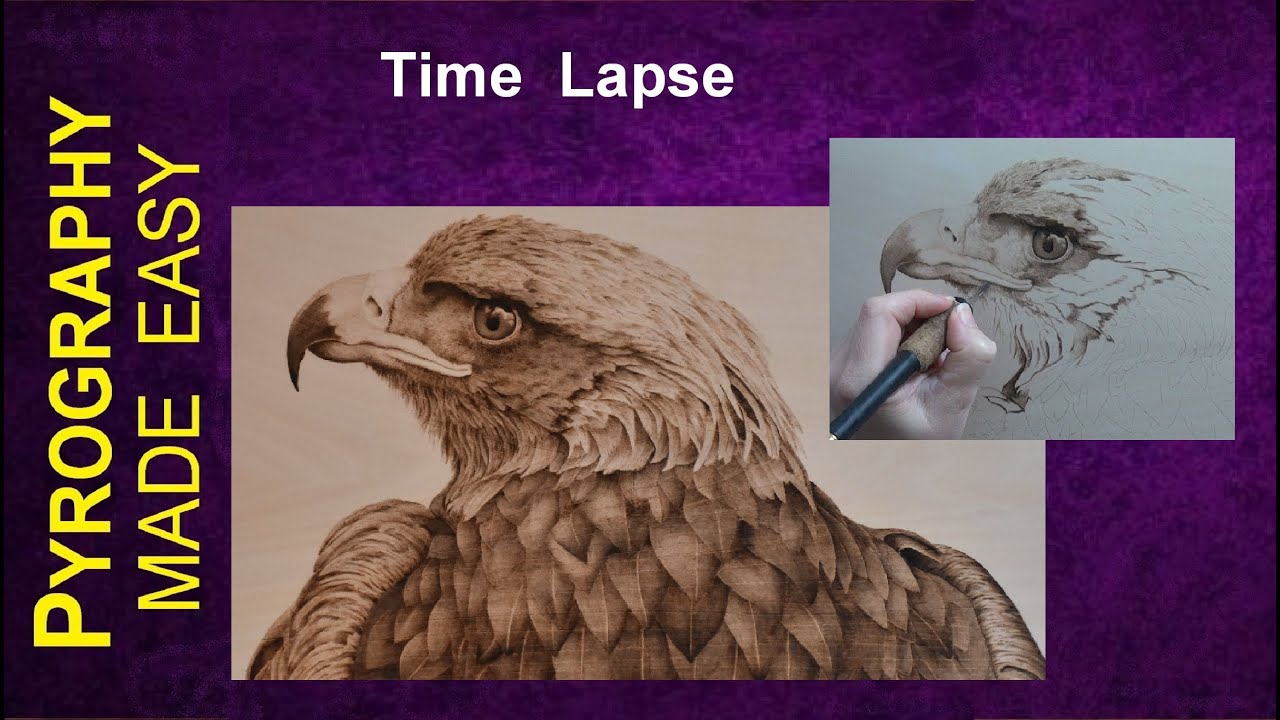 Wood Burning Art - GOLDEN EAGLE Bird - pyrography time lapse - YouTube