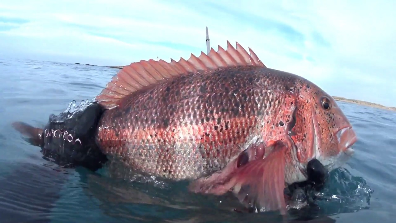 HURTA 6.5 KG - YouTube