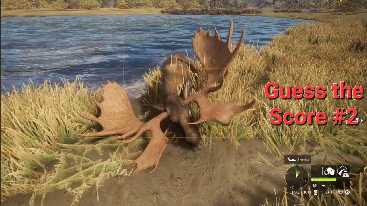 Guess the Score #2 Moose /TheHunter Call of the Wild Guess the Score ...