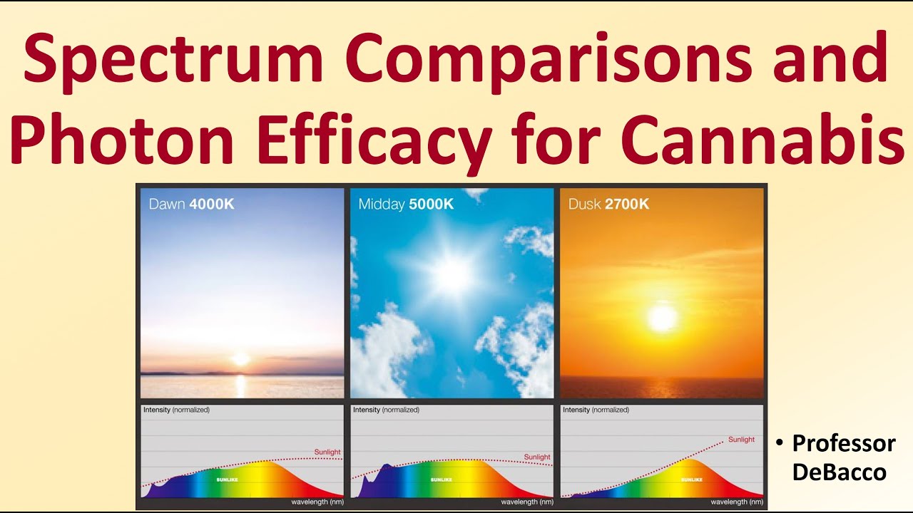 Spectrum Comparisons and Photon Efficacy for Cannabis - YouTube