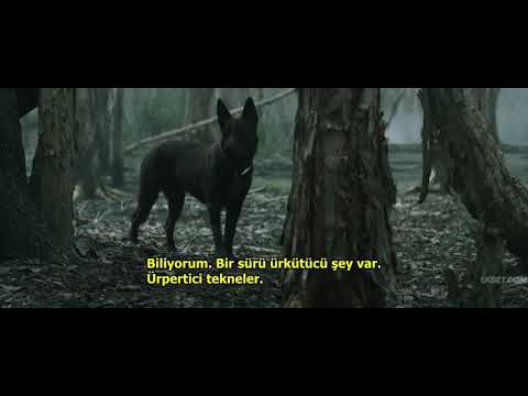 Canavar Sorunları - Monster Problems 2020 Bir kesit