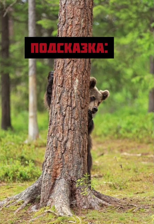 Война в Крыму Youtube