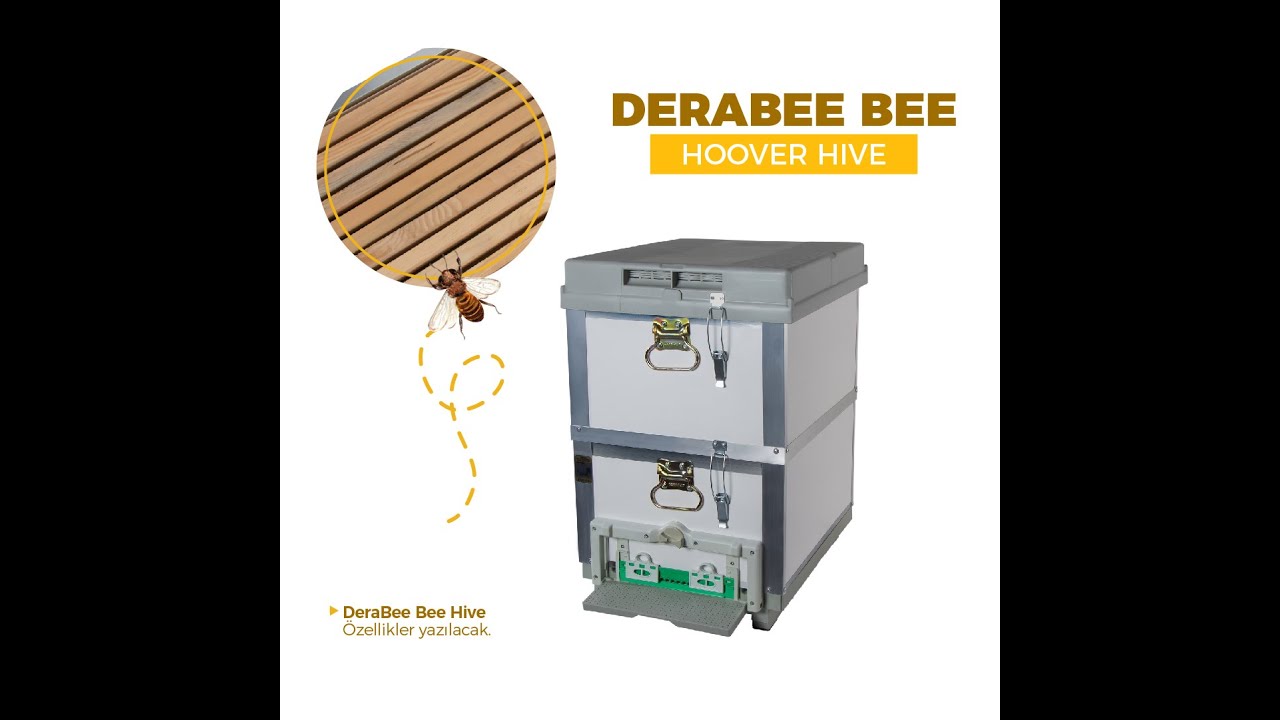 Derabee Beehive setup template Video Professional Beehive Complete Set ...