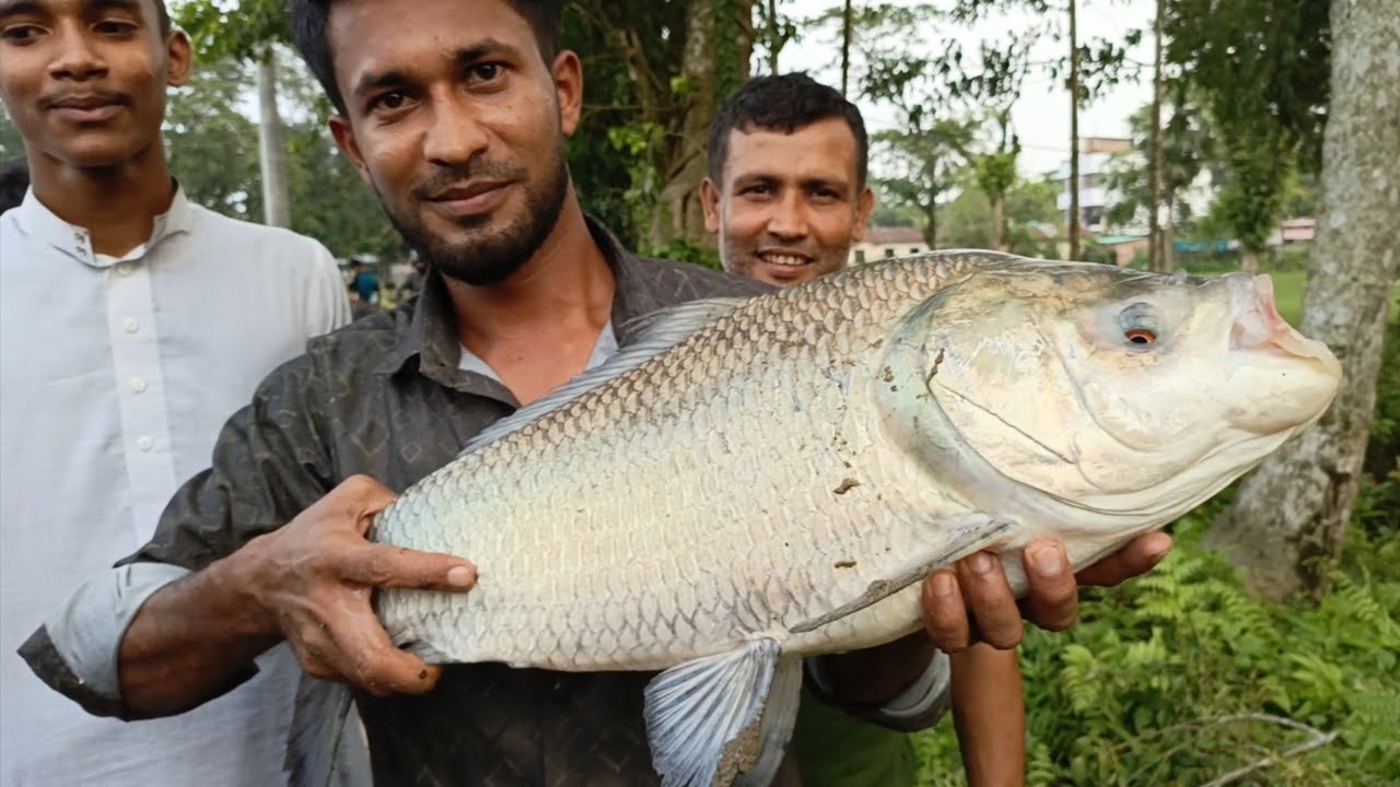 Unbelievable Fishing Catching Big fish by group hook fishing 🎣 Fishing ...
