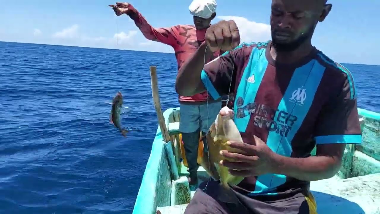 fishing catching skills for handline fish 🐟 - YouTube