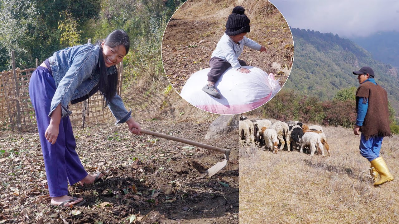 manjita is busy in her duty with her son Niyabung & her husband somu ...