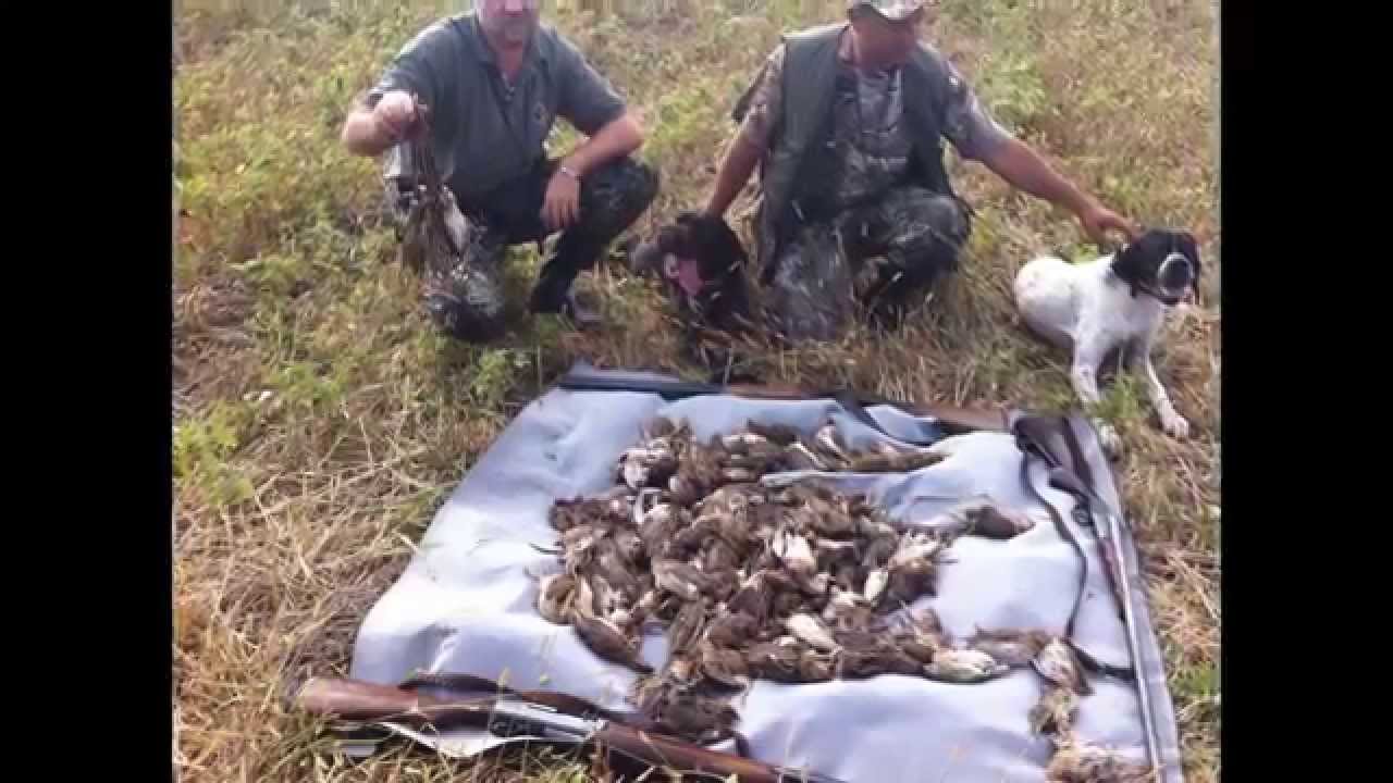 Chasse en Roumanie www.chasseenroumanie.com - YouTube