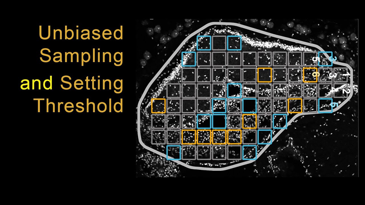 Unbiased sampling and thresholding in scientific research stereology ...