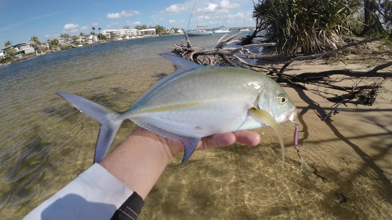 Catching Small Trevally - Land Based Fishing Noosa - YouTube