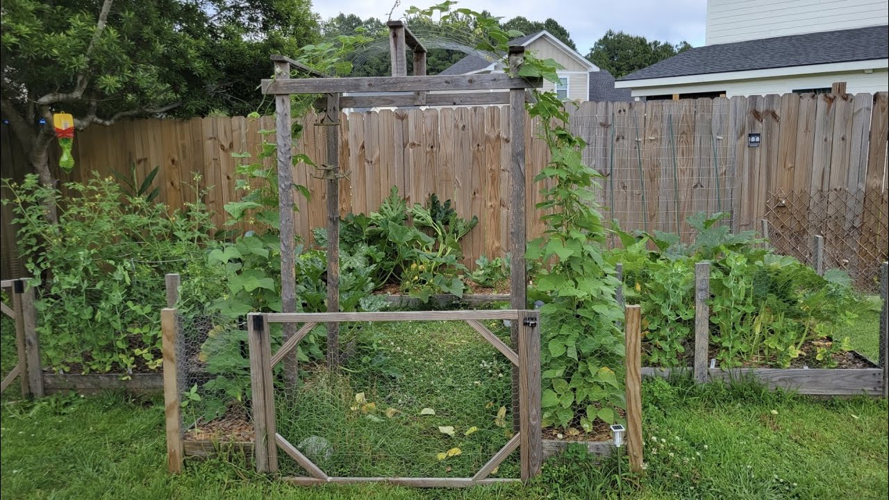 Week 4 garden tour. And expansion? - YouTube