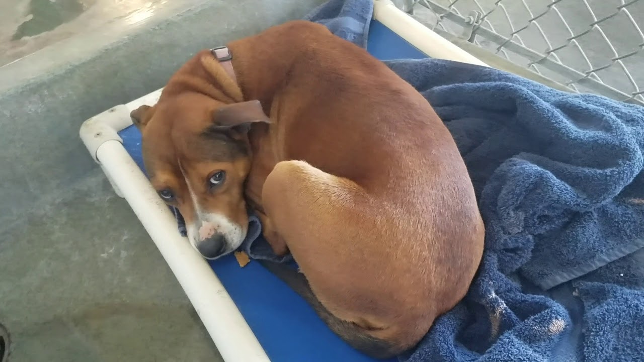 Acs 525177 - YouTube